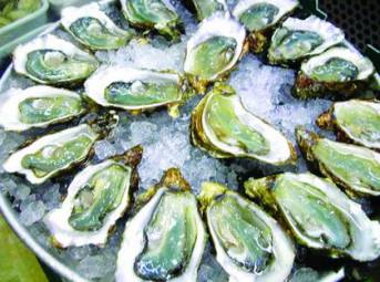 Sản xuất nhân tạo hàu tam bội bằng công nghệ tứ bội – Tạp chí Thủy sản ...