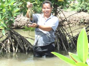 Nuôi tôm rừng ngập mặn: Giữ sinh kế từ bảo vệ rừng – Tạp chí Thủy sản ...