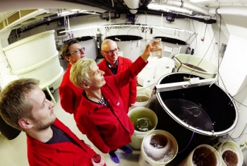 Sản xuất copepod quy mô công nghiệp – Tạp chí Thủy sản Việt Nam