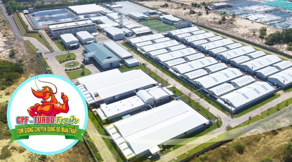 Chủ động bước vào mùa mưa với tôm giống chuyên độ mặn thấp CPF-TURBO FRESH – Tạp chí Thủy sản ...