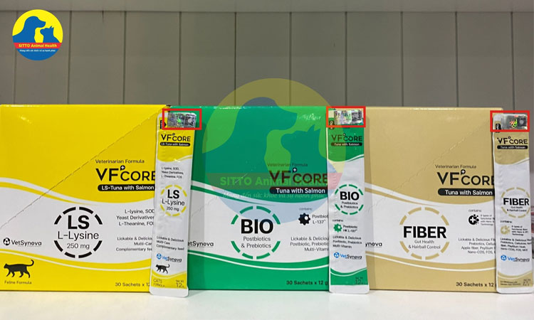 Sitto Việt Nam công bố tem chống giả: Tem xác thực chính hãng cho nhãn ...
