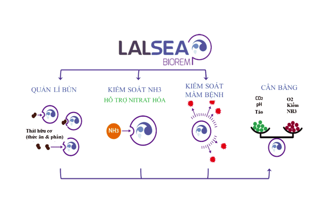 Tập đoàn LALLEMAND Inc: Khuyến cáo sử dụng sản phẩm chính hãng – Tạp ...